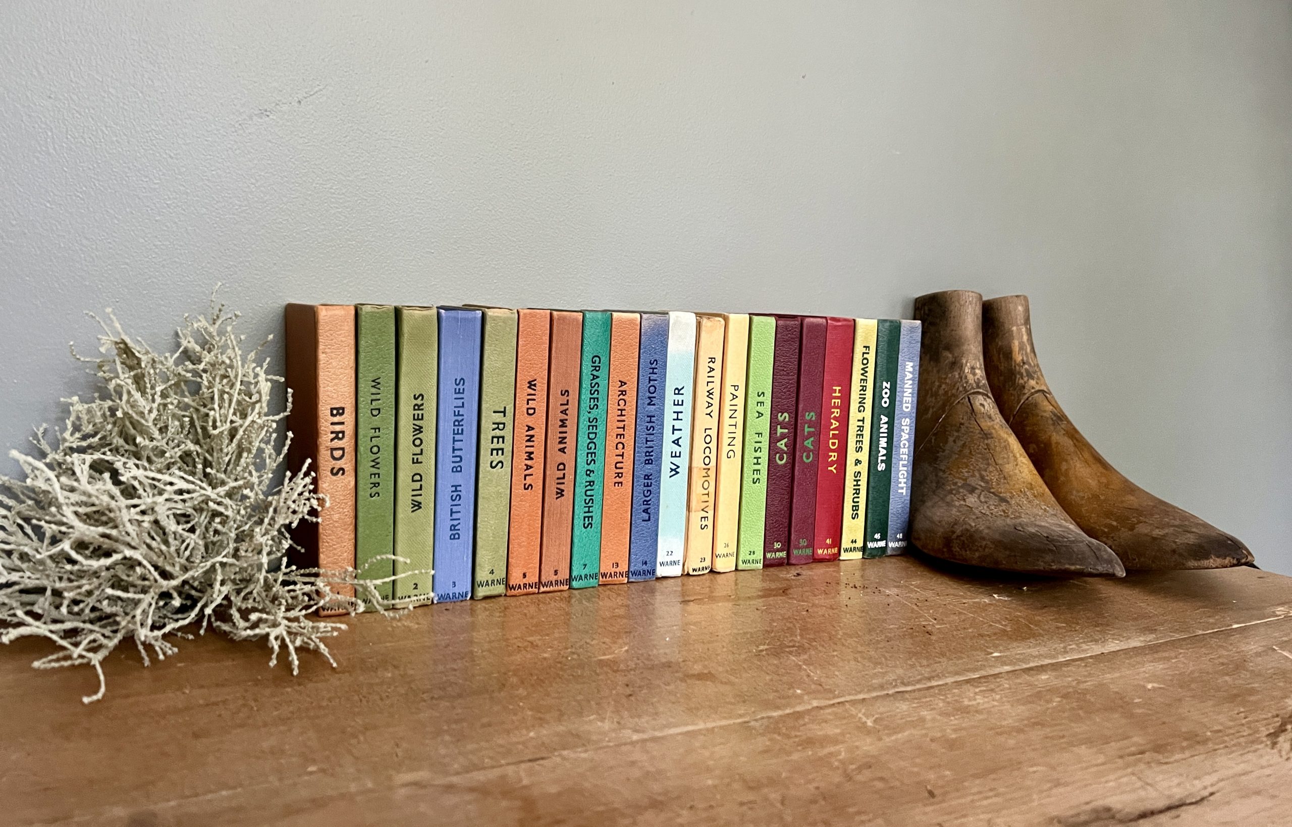 Small Observer Books - various titles - All The Little Treasure