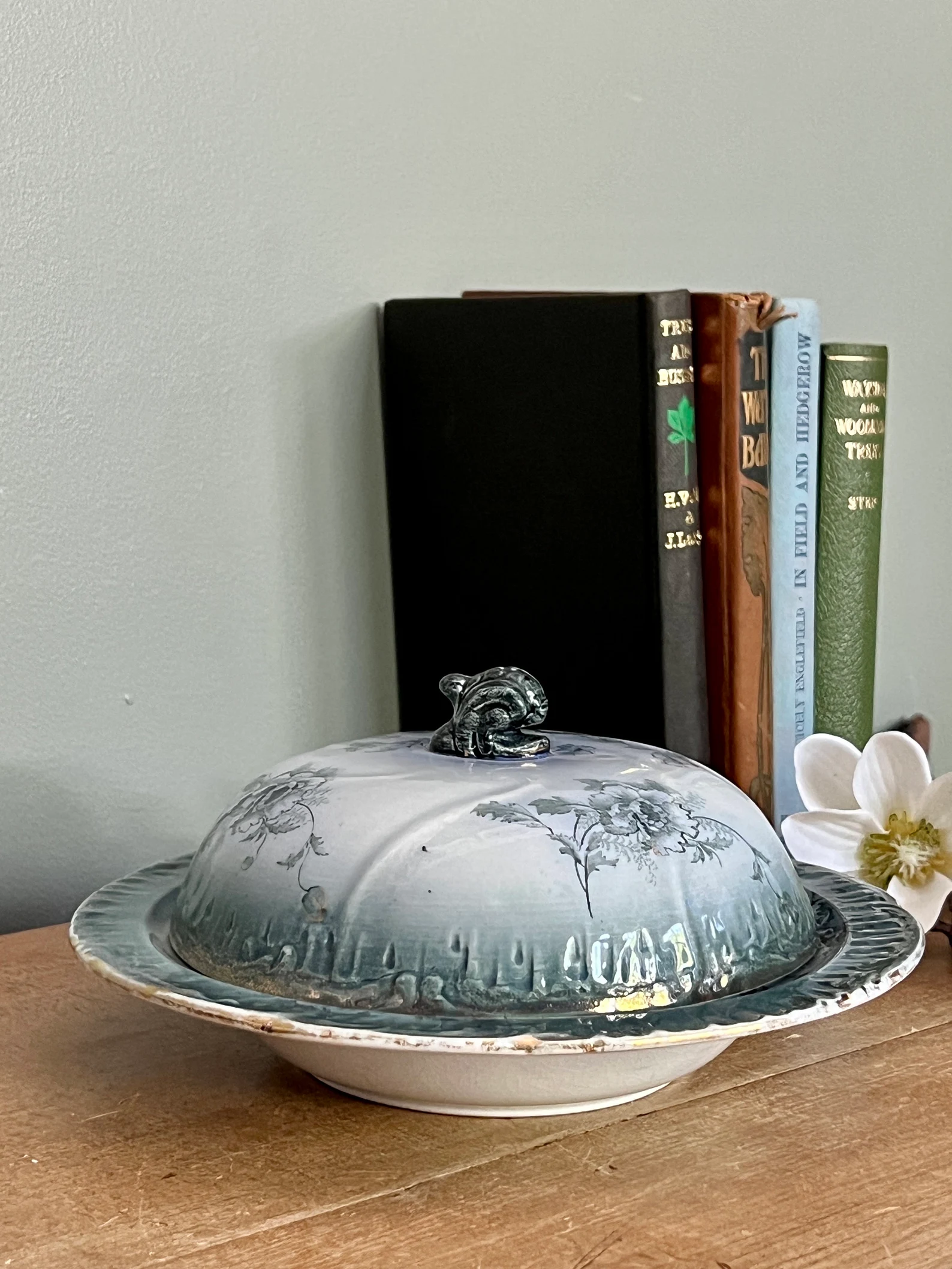 Vintage blue round lidded Spode dish - All The Little Treasure